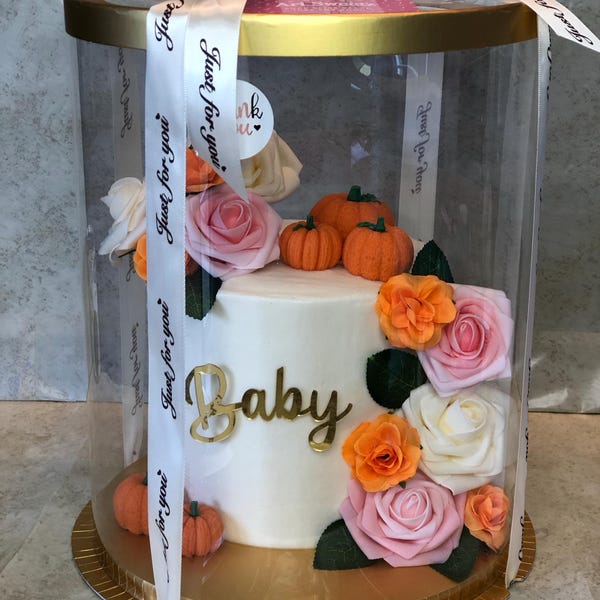 5 Cake and Cupcakes Combo Bento Boxes With Clear Lid and Cupcake Holes ...