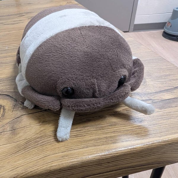 Panda King Isopod Plushie (imperfect) - Etsy