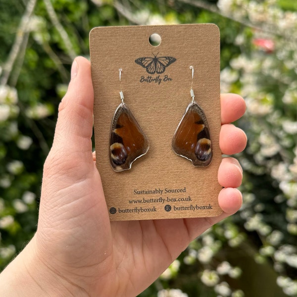 Spotted Sawtooth Butterfly Necklace, Real Butterfly Wing Necklace ...