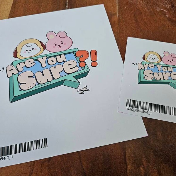 BTS BT21 Chimmy Cooky Jungkook Jimin Are You Sure Travel Show Vinyl ...