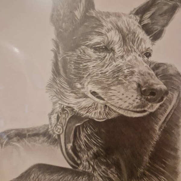 Pet Portrait, Pencil Drawing, Custom Sketch From Photo, Hand Drawn, Dog ...