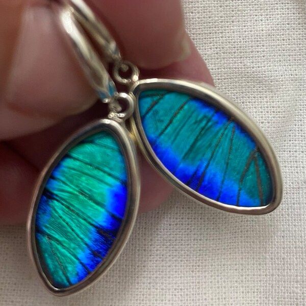 Unique Pink Morpho Wing Pendant, Small Nature Charm, Gift for Nature ...