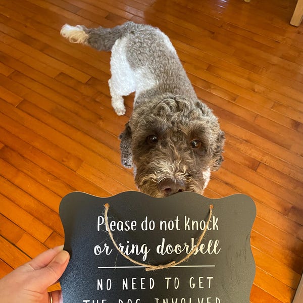 Set of 8 Gingerbread Boy and Girl, Woman Faces, Vinyl Decals, Stickers ...