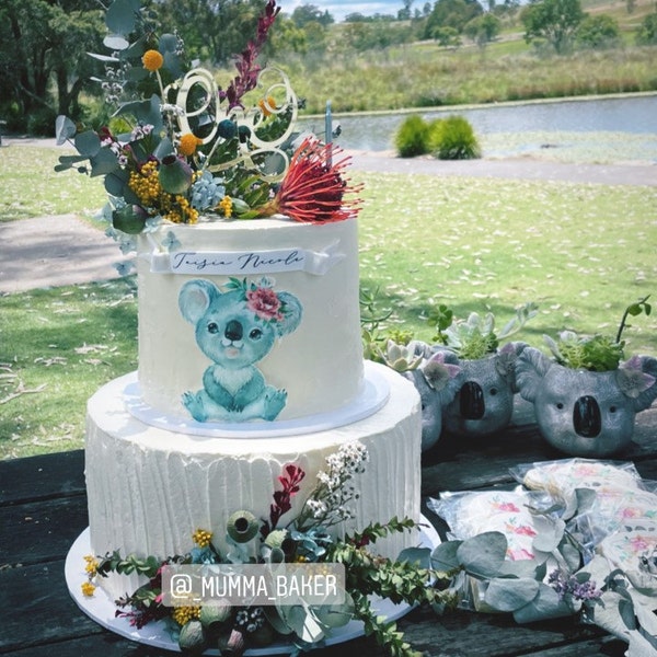 Baby Koala. Watercolor Little Animals Clipart Australia Portrait ...
