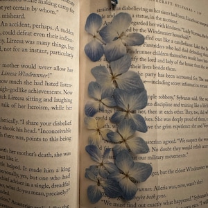 REAL Dried Pressed Flower Bookmark With Daisies Wildflowers Roses Ferns ...