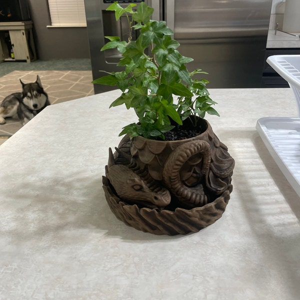 Dragon 3D Printed Succulent Planter Pot Vase With Tray - Various Colors ...