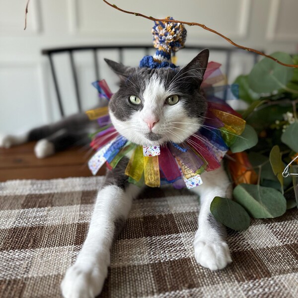 Snowflake Winter Cat Ribbon Collar Multiple Color Options - Etsy
