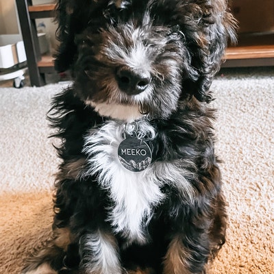 Mountains Dog Tag for Dogs, Rustic Dog Tag, Outdoors Personalized Pet ...