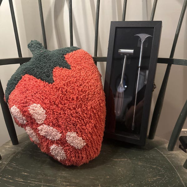 Lobotomy Orbitoclast & Hammer Surgical Medical Tools Shadowbox With ...