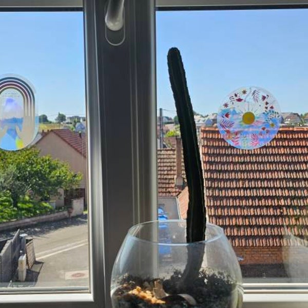 Suncatcher Sticker nature Sun - Etsy