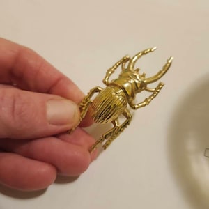 Brass Beetle Drawer Pulls Knobs, Insect Cupboard Door Handles, Bug ...