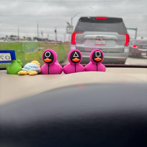 Pigeon 3D Printed Figures - Articulated, Flexi, Fidget, Decoration - Etsy