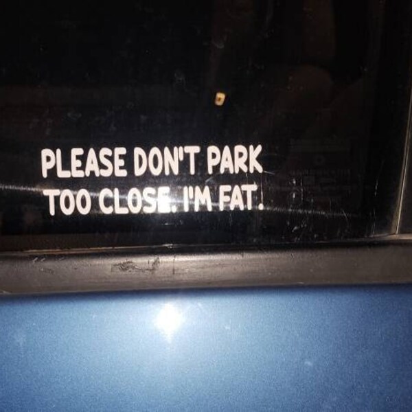 Stick Figure Flipping off Vinyl Decal - Etsy