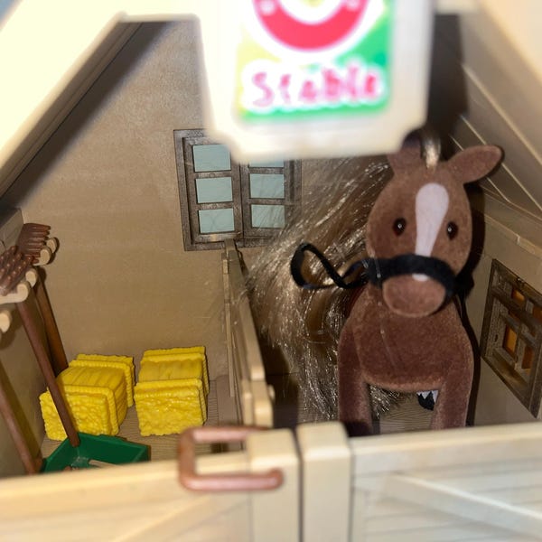 Mulberry Raccoon Family ~ Calico Critters | Sylvanian Families ...