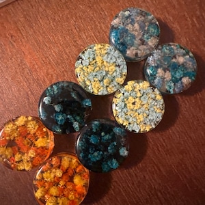 Real Moss Transparent Mushroom Plugs, Nature Tunnels, Real Plant ...