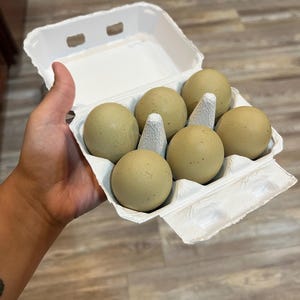 Split-apart Egg Cartons Vintage Printed Design Each Carton Can Split ...