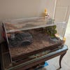 Reptile Arboreal 10 Gallon Front Opening Enclosure, Terrariums ...