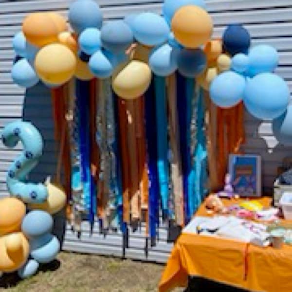 Rainbow Backdrop,fringe Backdrop,plastic Fringe Backdrop,bachelorette ...