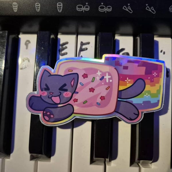 Nyan Cat! | 3.5 X 1.8 In. Holographic Vinyl Sticker - Etsy