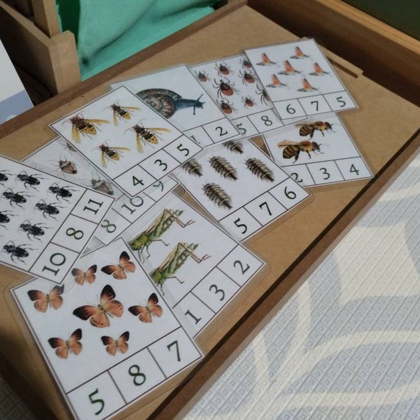 INSECTS BUNDLE, Bees, Ants, Ladybug, Butterflies Unit Studies ...