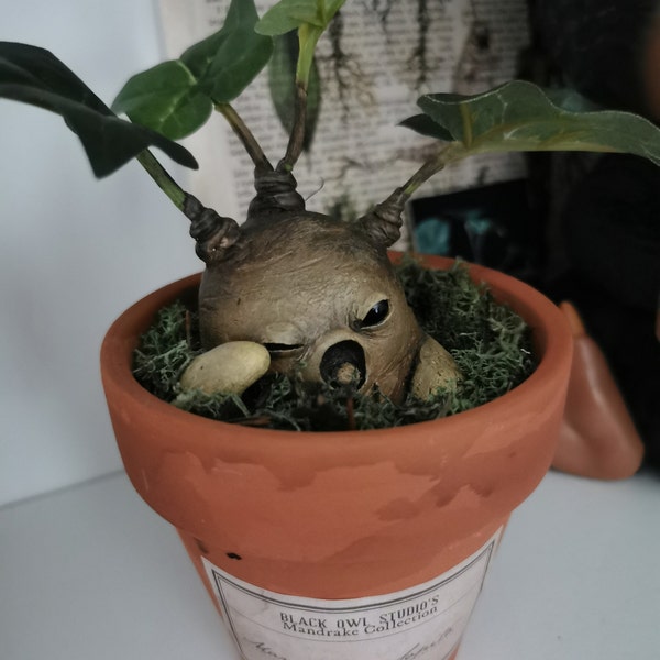 Mandrake With Pot - Hand Painted - Etsy