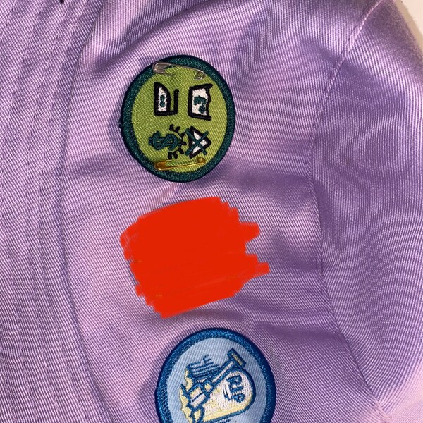 Alternative Scouting for Girls and Boys Merit Badges - SINGLE BADGES - Etsy