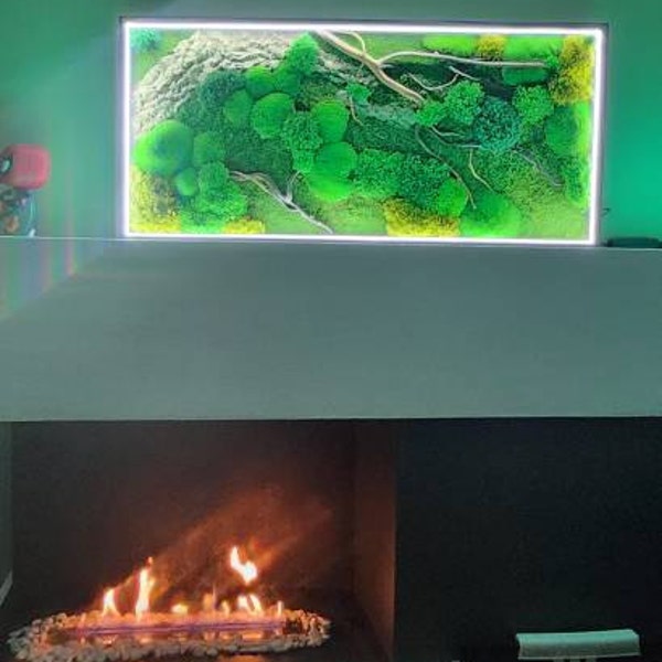 Illuminated Preserved Moss Wall Art With LED Lighting, Eco-friendly ...