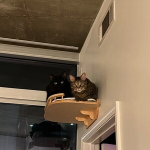 Cat Window Perch, Cat Tree, Cat Tower, Cat Tree Modern, Cat Perch, Cat ...