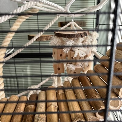 Mouse Foraging Toy Mouse Enrichment - Etsy