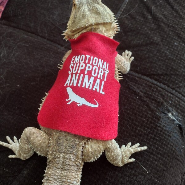 Rat Sweater for Rat Crochet Sweater for Small Pet Sweater for Fancy Rat ...