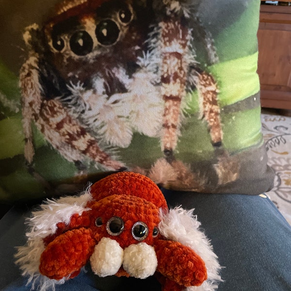 Baby Jumping Spider Plush - Etsy