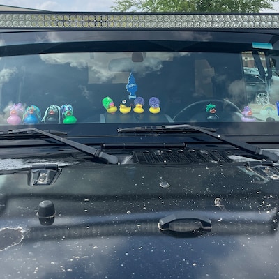 Two Ducks With Peace Sign, Ducks, Rubber Ducks, Get Ducked, Got Ducked ...