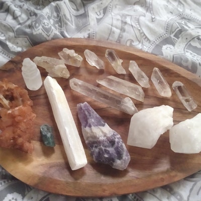 Animal Skull, Goth, Real Skull, Skull Jewelry, Oddities, Animal Bones ...