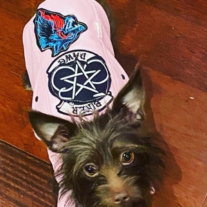 Majority Rule Patch Pg 99 Orchid Hardcore Punk Screamo - Etsy