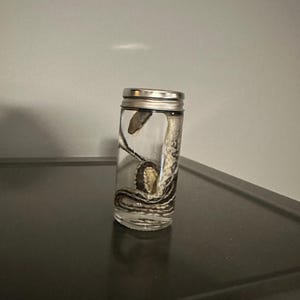 TIGER RAT SNAKE Wet Specimen - Etsy