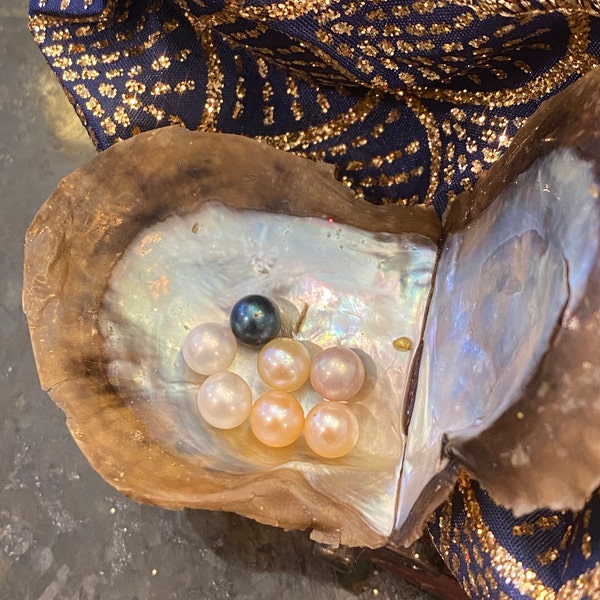 Open an Oyster With Pearl Natural Color Akoya Saltwater Oyster, Pick a ...