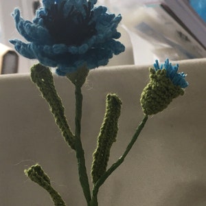 Crochet Bluebonnet Pattern Crochet Flower Pattern Photo - Etsy UK