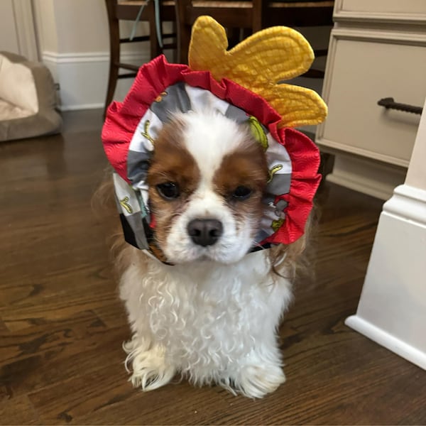 Adjustable Dog Snood: THANKSGIVING TURKEY TROT Snood to Protect Long ...