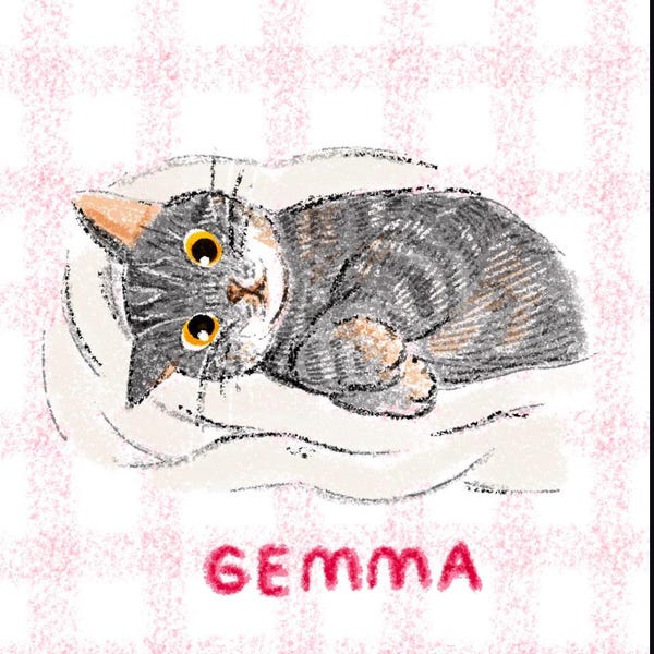 Custom Badly Drawn Pet Portrait, Personalized Cat Portrait, Unique Pet ...