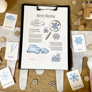 Winter Learning Bundle Unit Study, Nature Study, Charlotte Mason - Etsy