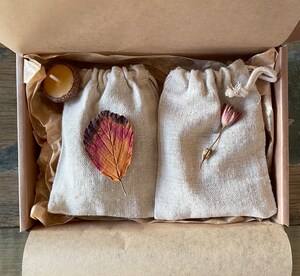 DIY Walnut Advent Calendar: 24 Matching Walnut Pairs (48 Shells ...