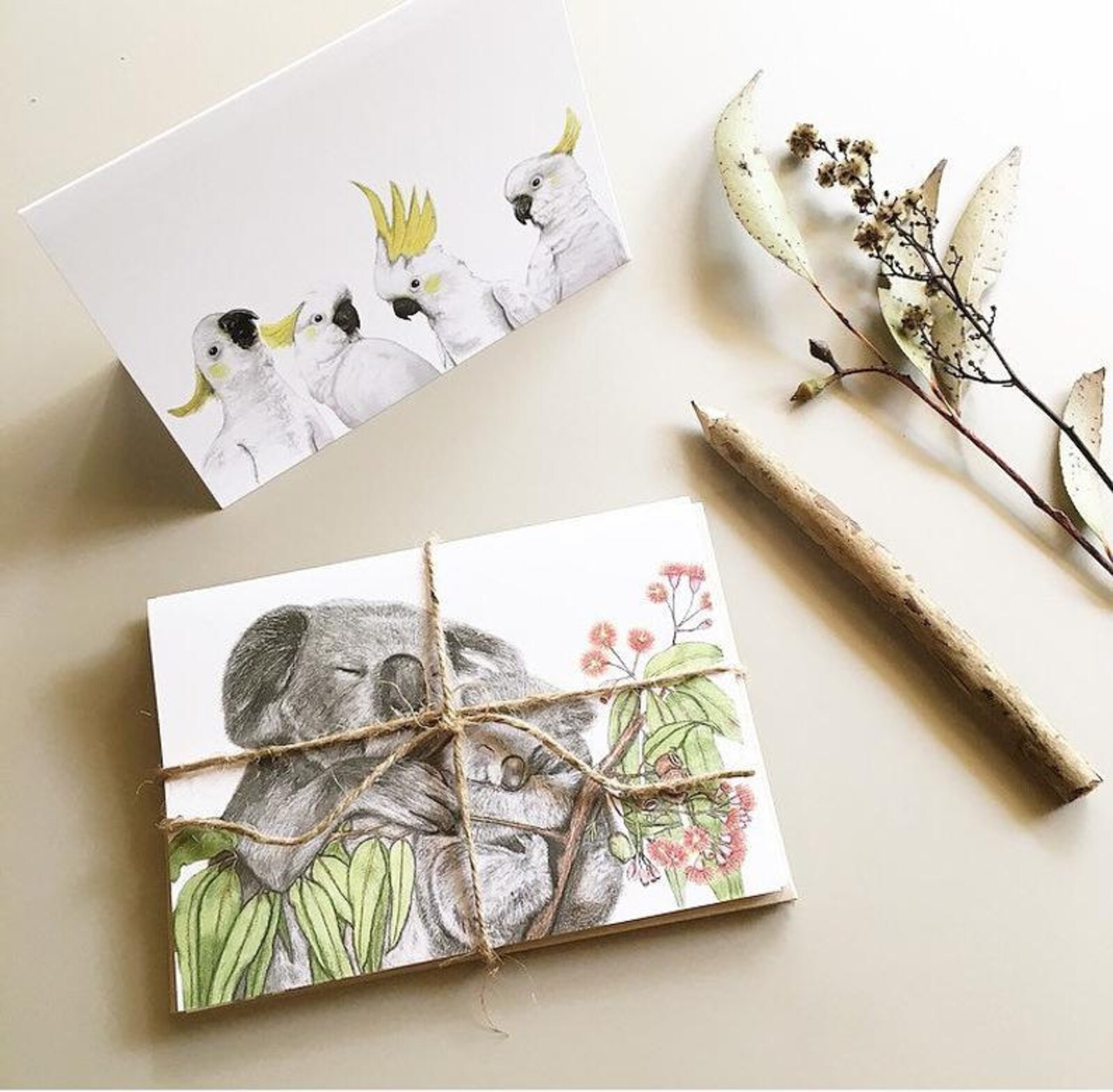 Large Natural Dried Lotus Pod Stems Dry Lotus Pod Seeds Brown Flower ...