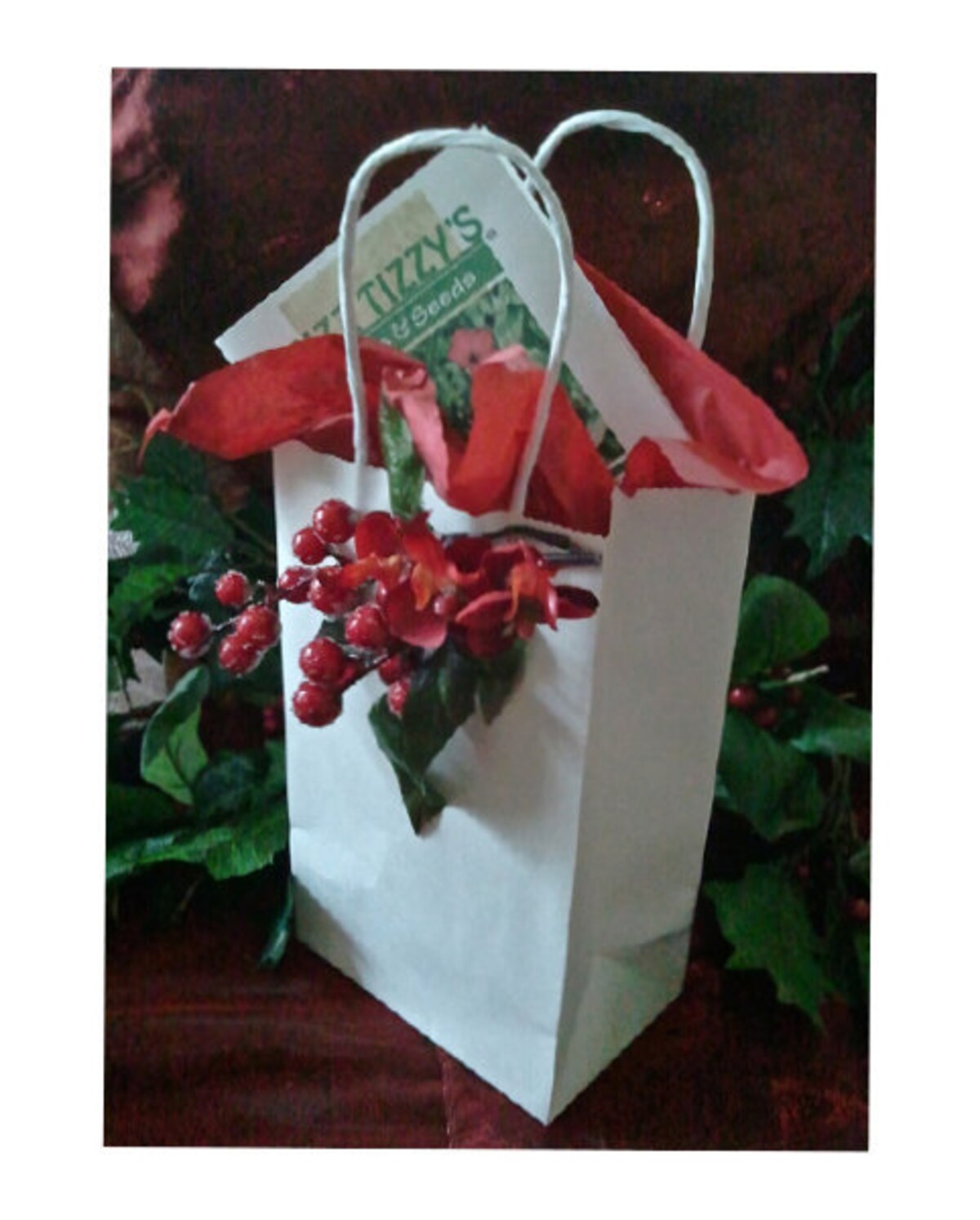 Cherokee, North Georgia Candy Roaster Squash . Cucurbita Maxima - Etsy