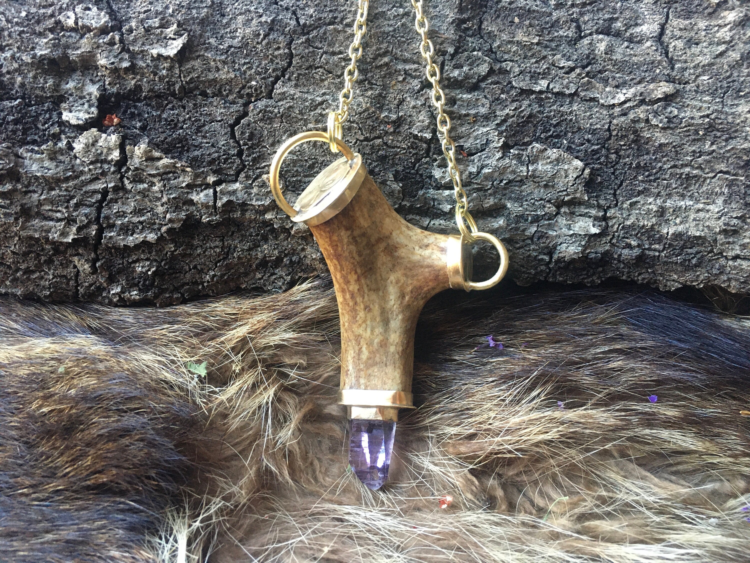 Real Coyote Jaw Bone Hangers Ear Weights BRASS Earweights - Etsy Sweden