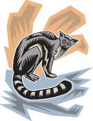 CAPUCHIN DIAPER SET in Dinosaurs - Etsy