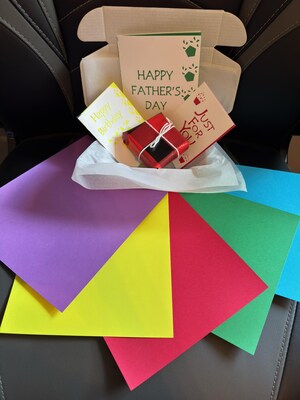 Fresh Piñon Pine Cones Collected From Our Ranch in New Mexico. Bulk ...