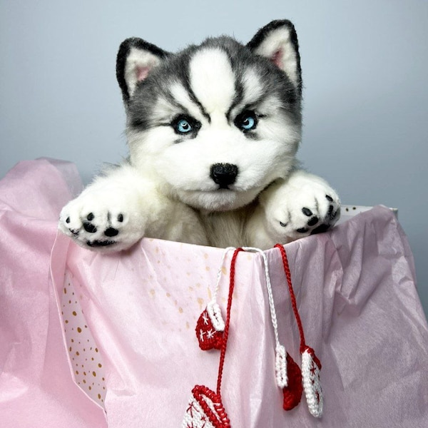Realistic Husky Plush – Soft, Lifelike and Cuddly! Perfect Gift for Dog ...