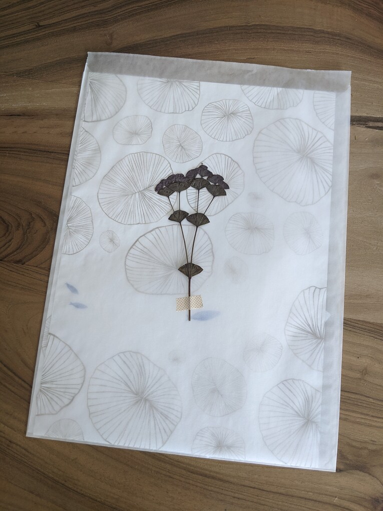 Horse Poster and His Accomplice Rider, Minimalist Wall Decoration Line ...