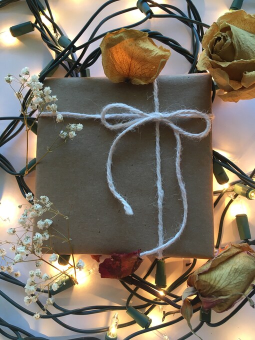 Seagull Stealing French Fries Vinyl Sticker by Earth Curious Art Co ...