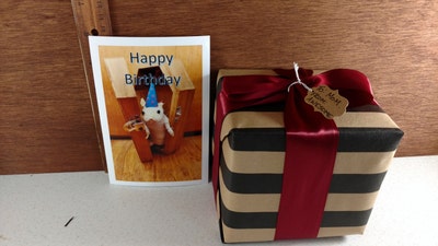 Taxidermy Mouse Pope Francis - Etsy